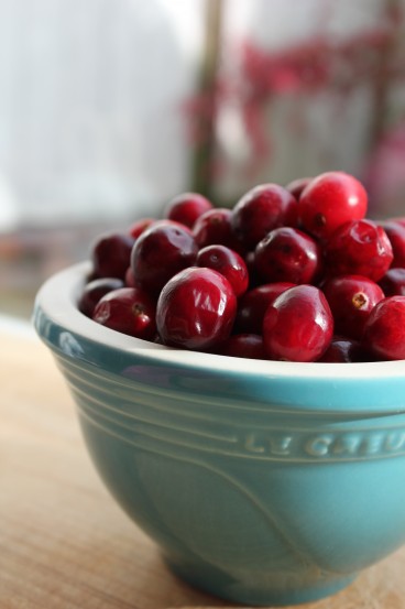 Cranberry (Vaccinium macrocarpon) | archerfriendly